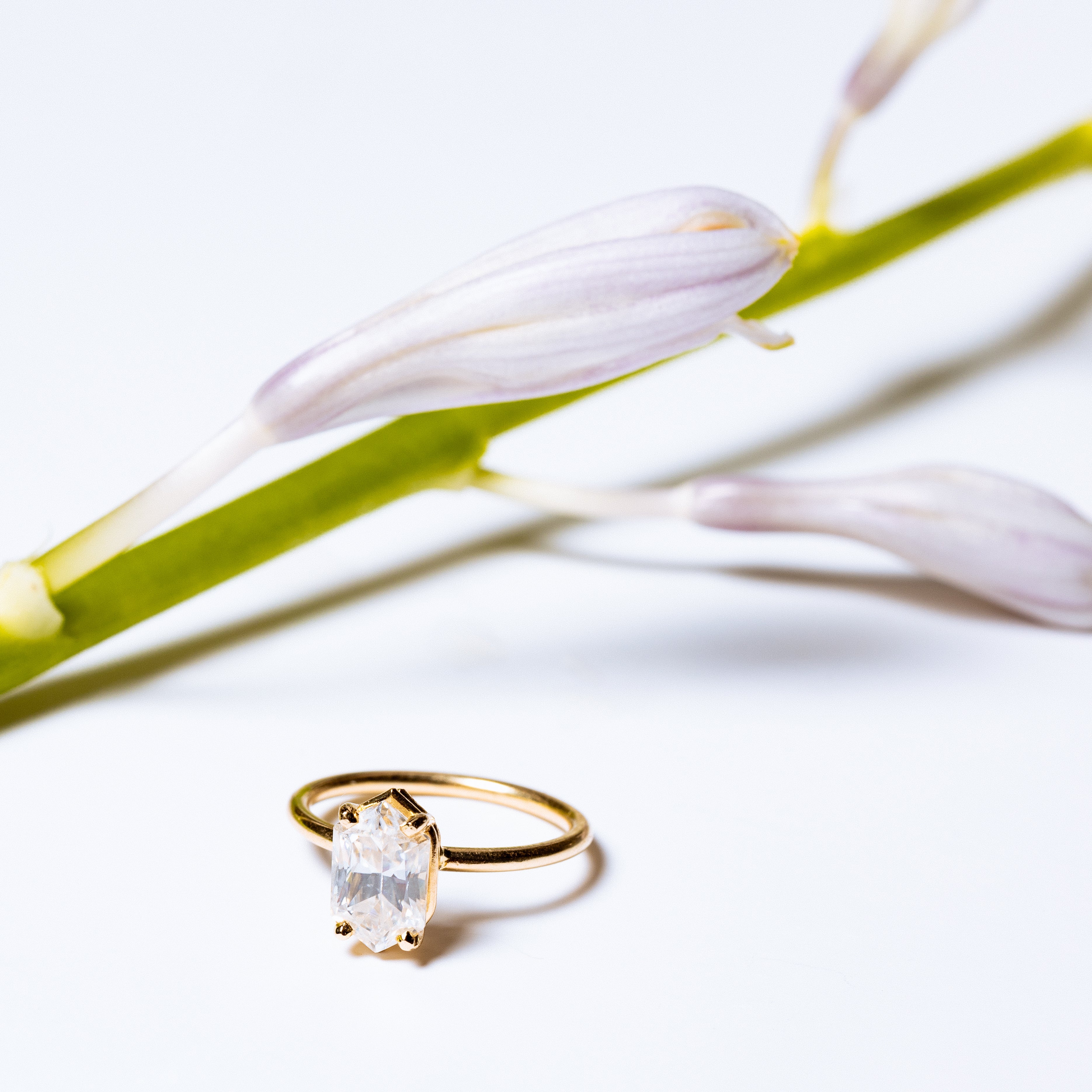 Can You Break a Diamond With a Hammer? – MTD