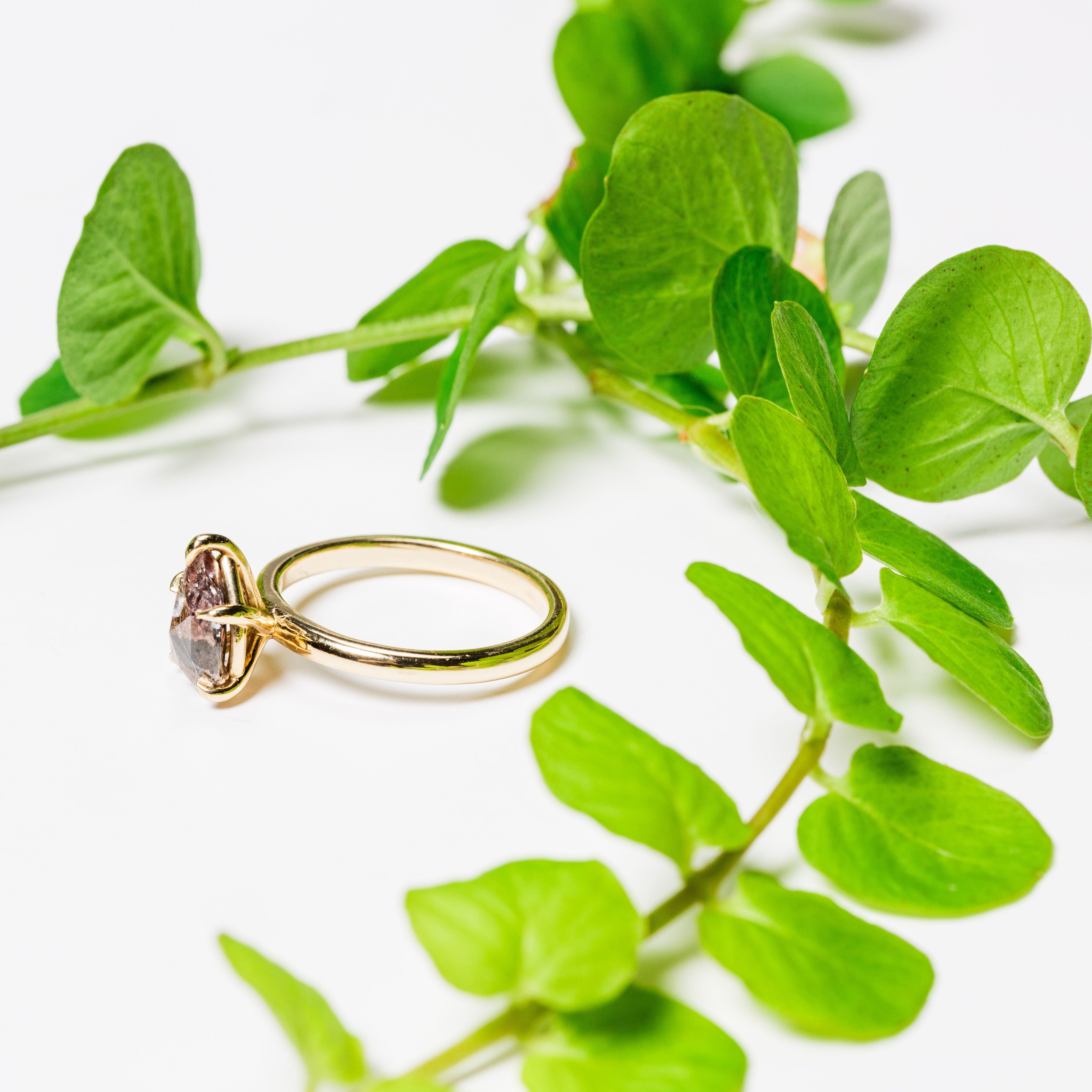 A Step-by-Step Guide to Your Dream Design – MTD