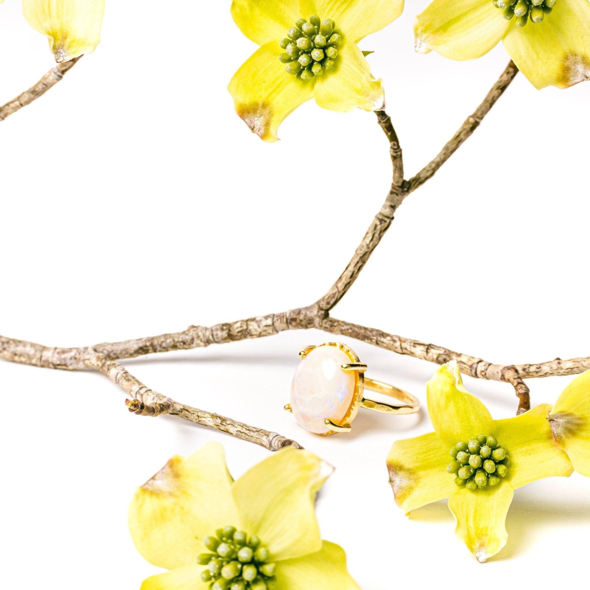 Opal Allure 14k Gold Ring – MTD